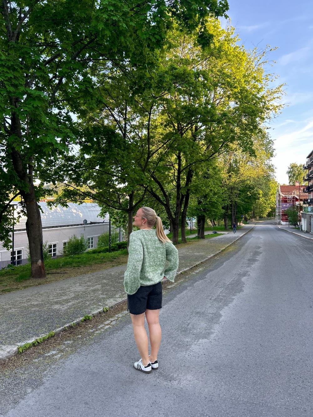 Tessagenseren | Strikkeland